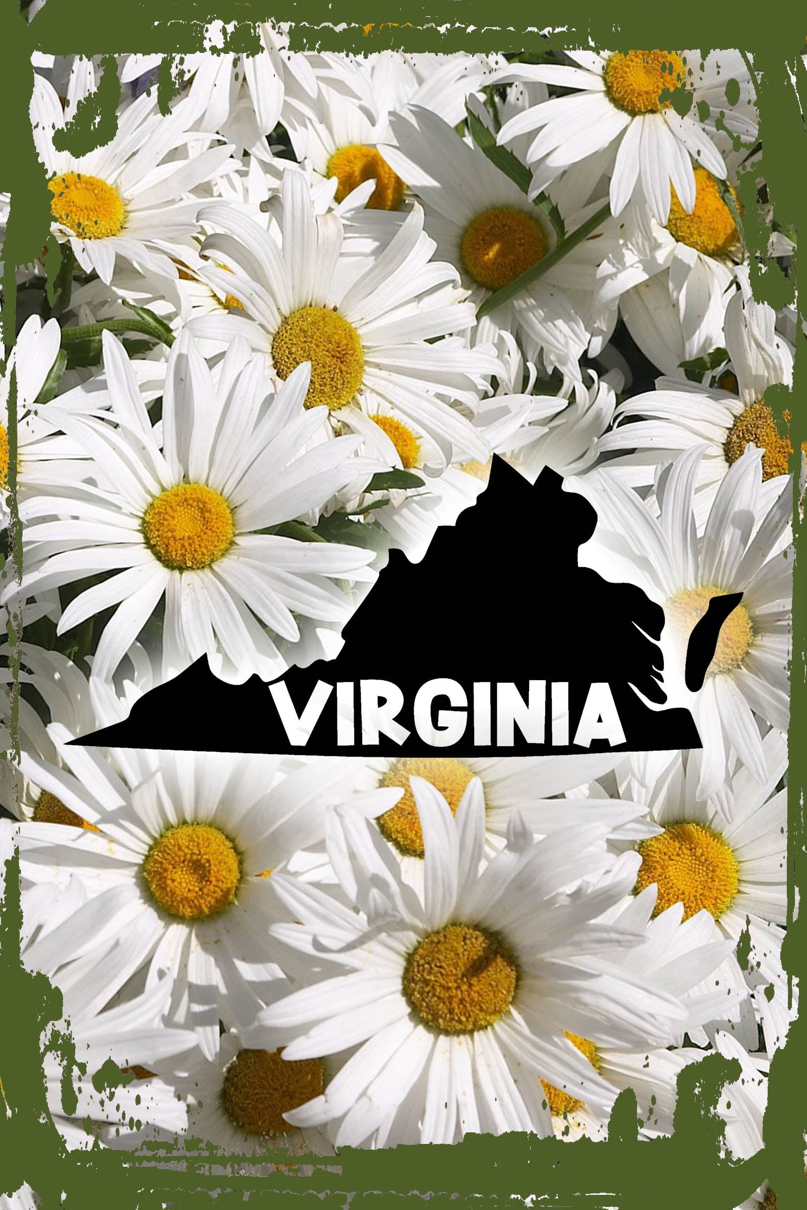 Daisy Flower Wall Art Virginia state home hometown united states love ...