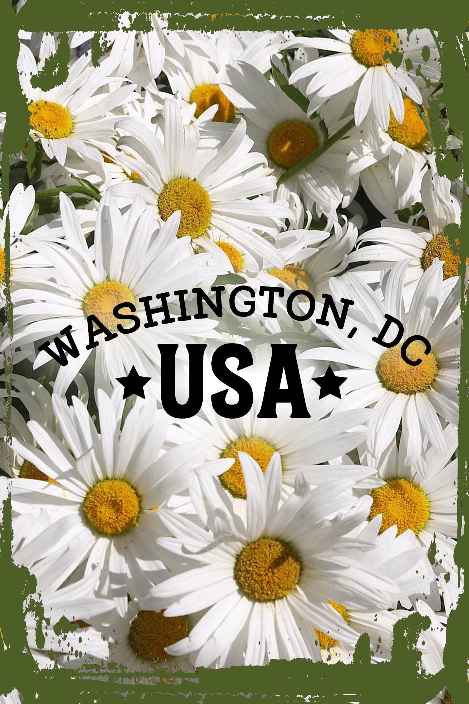 Daisy Flower Wall Art Washington, DC USA stars patriotic politics state ...