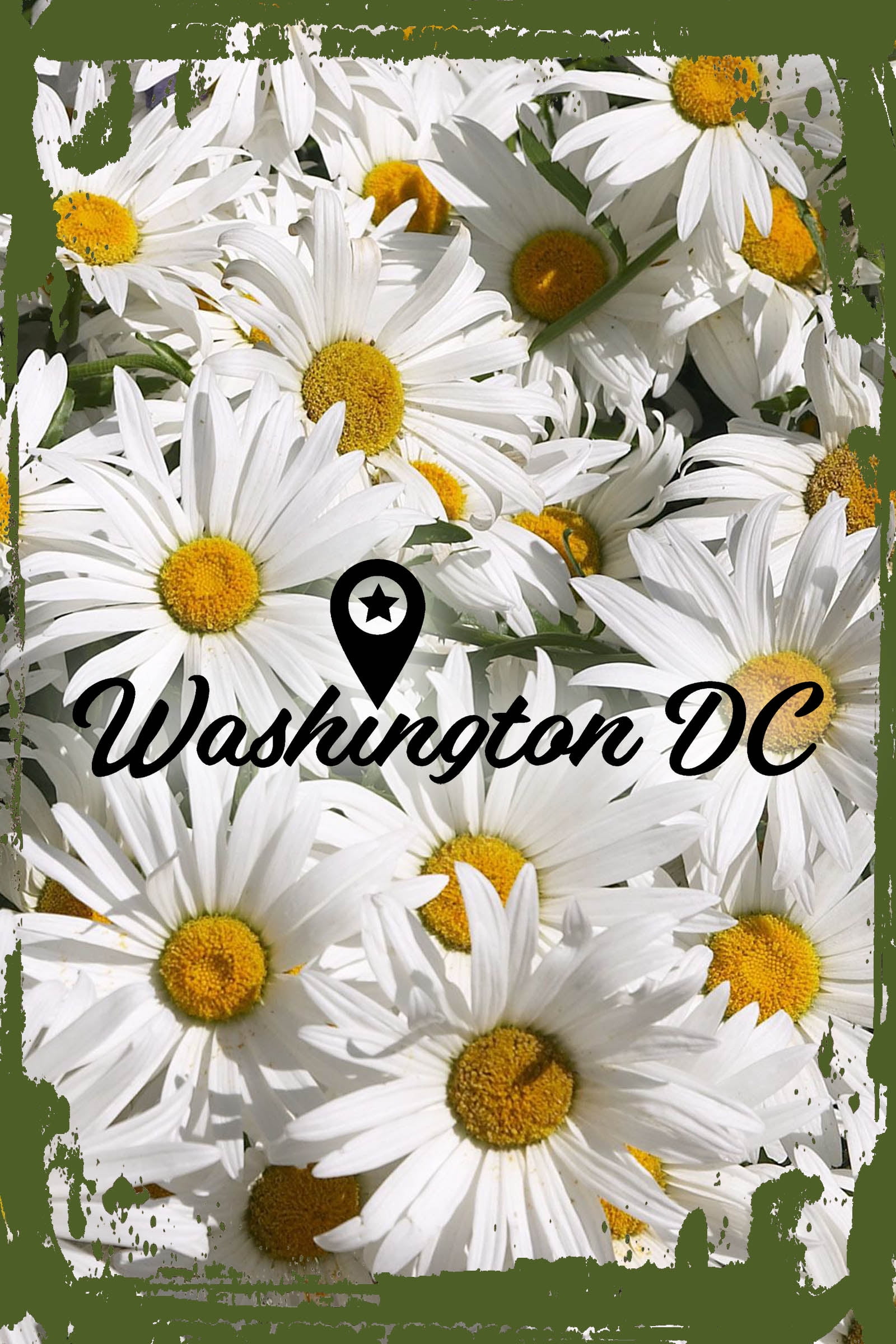 Daisy Flower Wall Art Washington, DC cursive destination star state ...