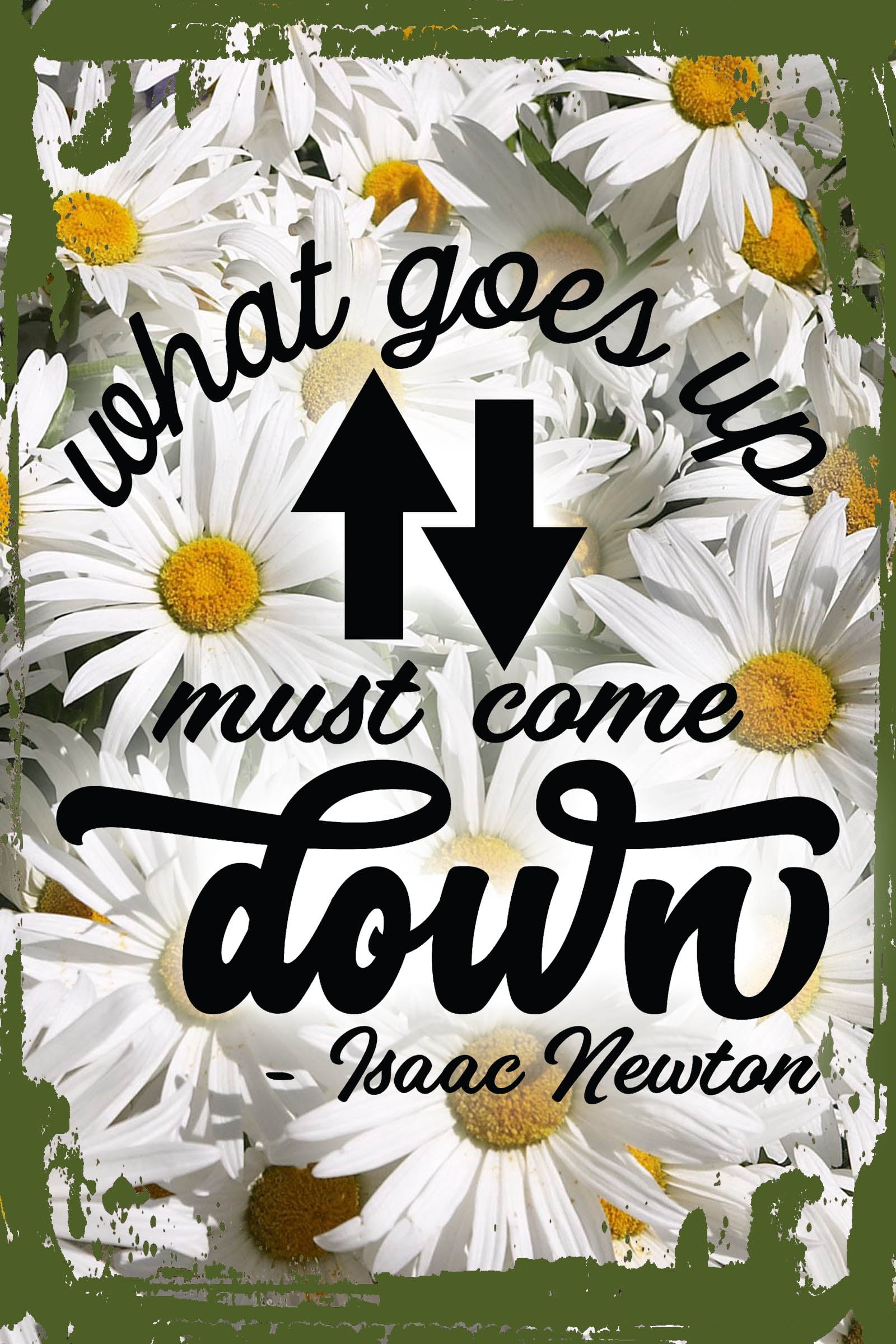 Daisy Flower Wall Art What goes up must come down Isaac Newton quote ...