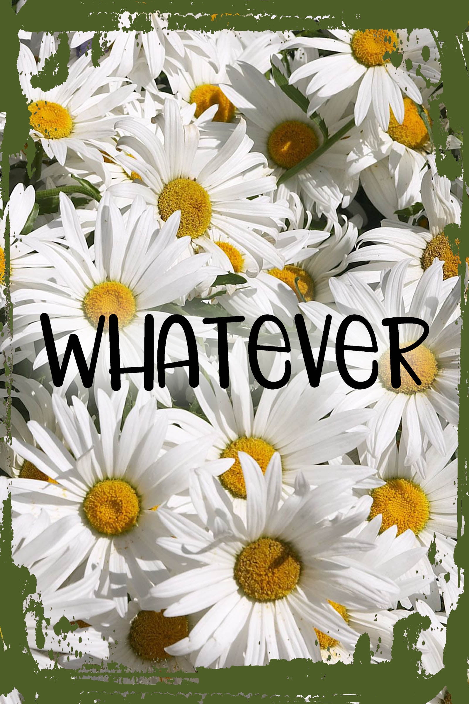 Daisy Flower Wall Art Whatever caps cursive donâ€™t care boring attitude lame brat Hanging Wall ...