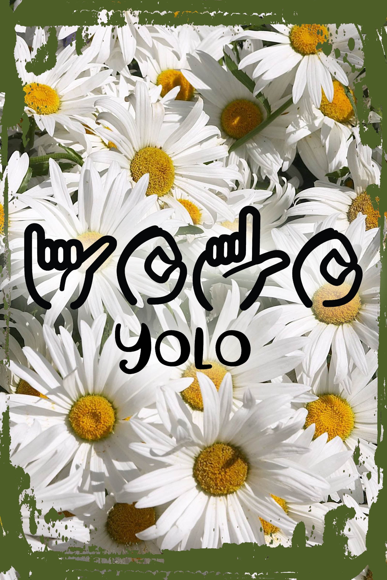 Daisy Flower Wall Art YOLO sign language ASL hands you only live once ...