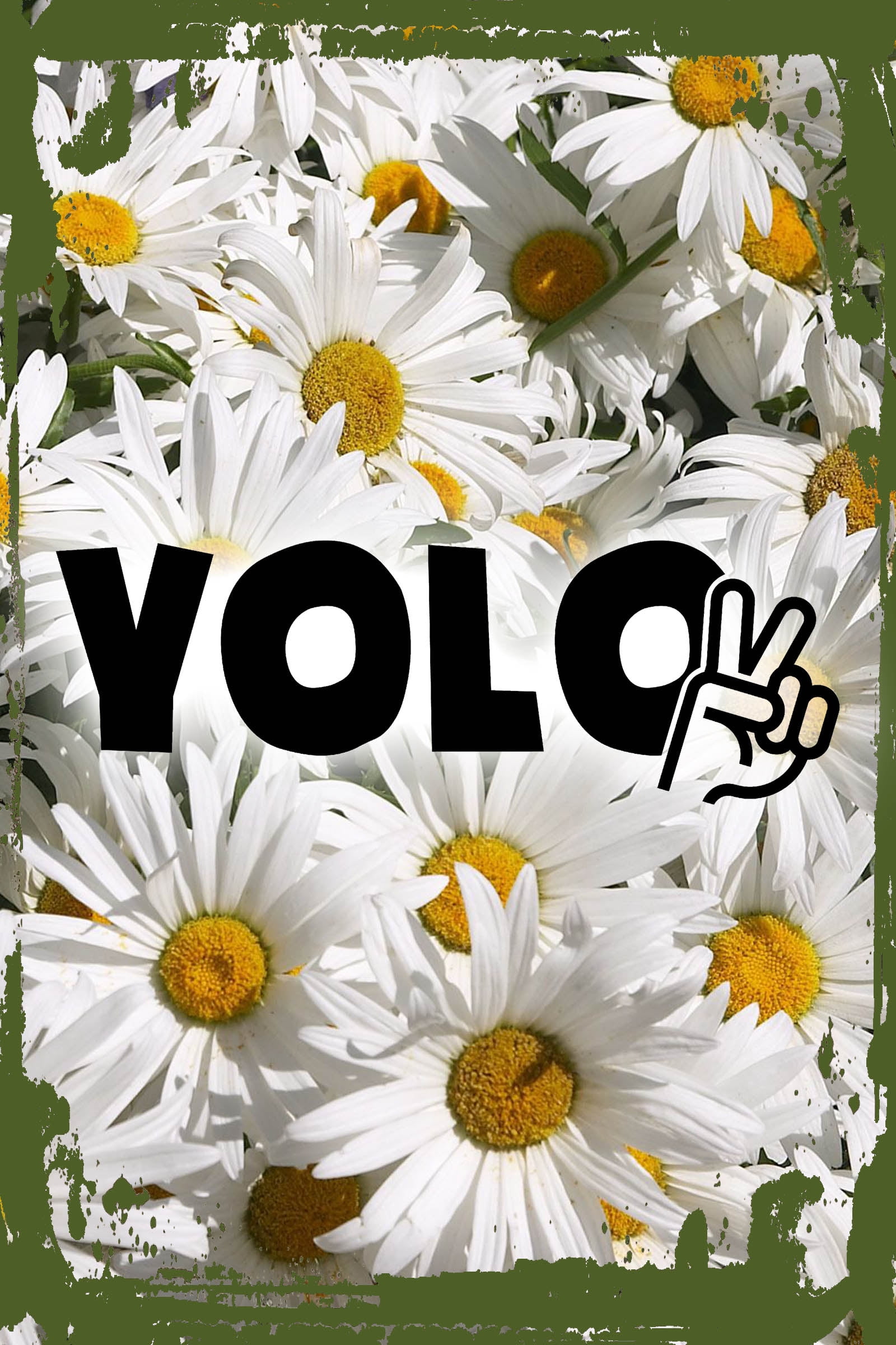 Daisy Flower Wall Art Yolo Peace Sign Lifestyle Sayings Tin Wall Sign 8 ...
