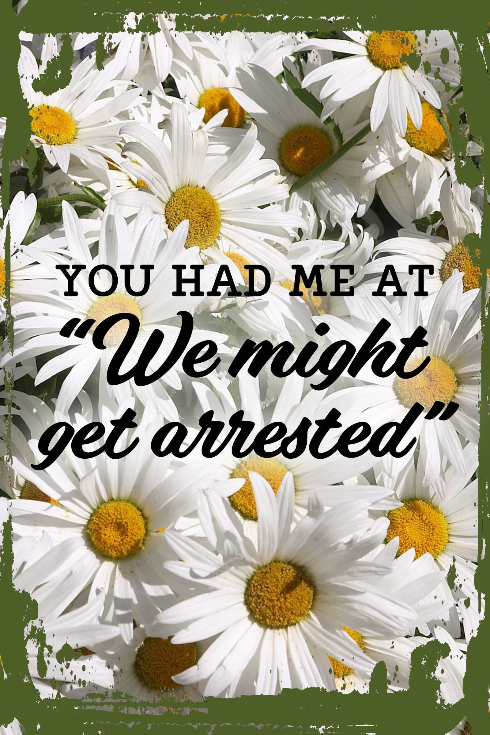 Daisy Flower Wall Art You had me at we might get arrested caps cursive ...