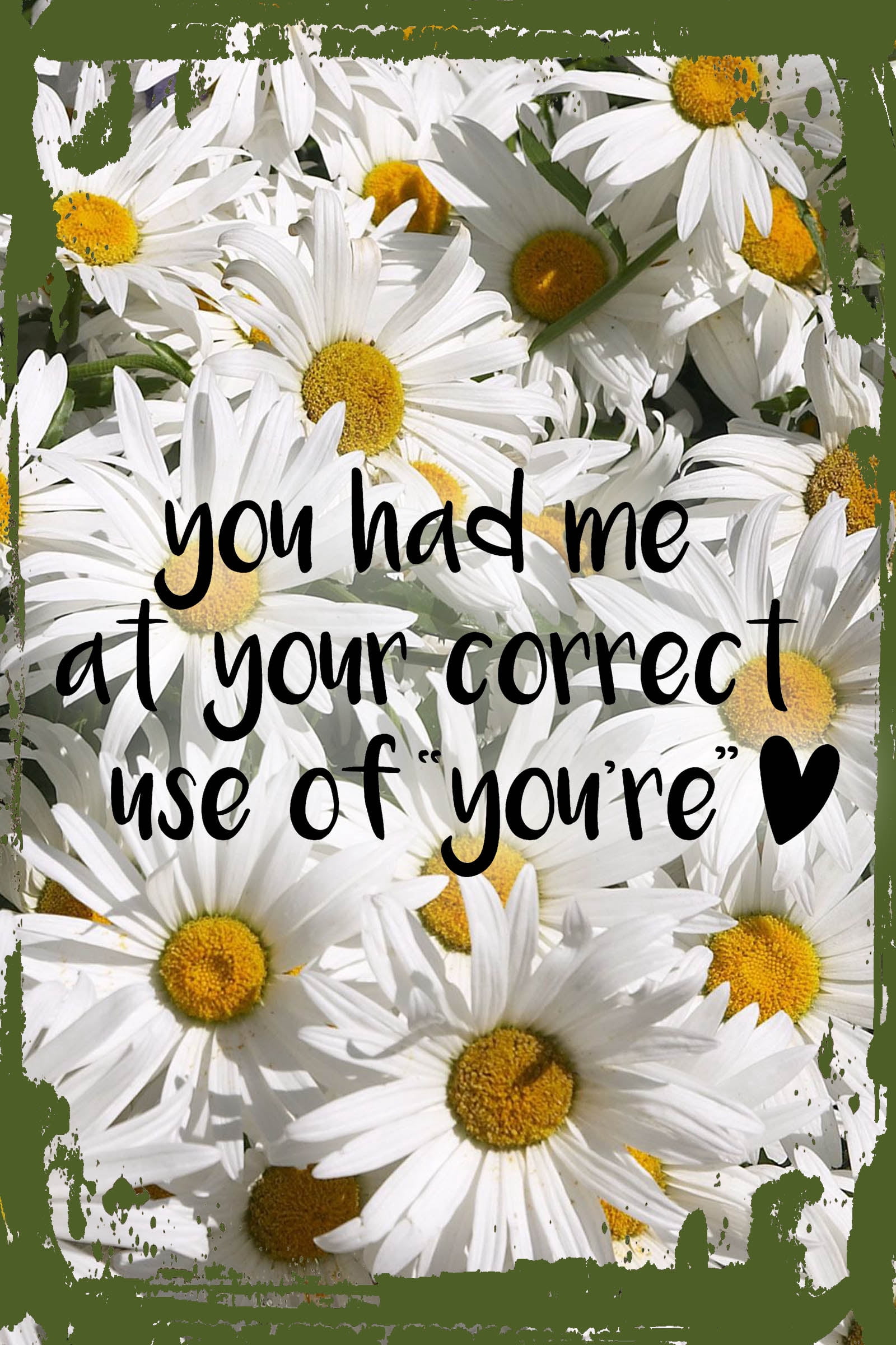 Daisy Flower Wall Art You had me at your correct use of you're funny ...