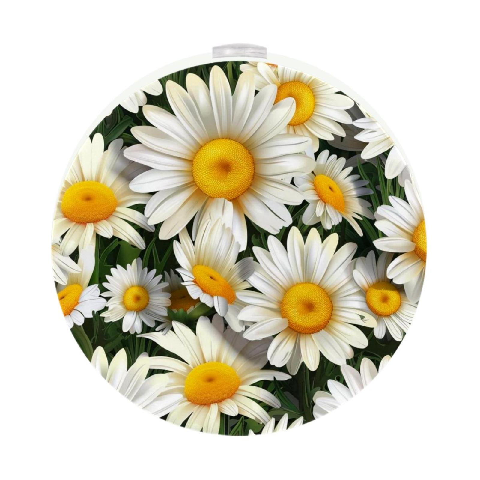 Daisy LED Round Night Light-2PCS for Nursery and Bedroom, Plug-in Dusk ...