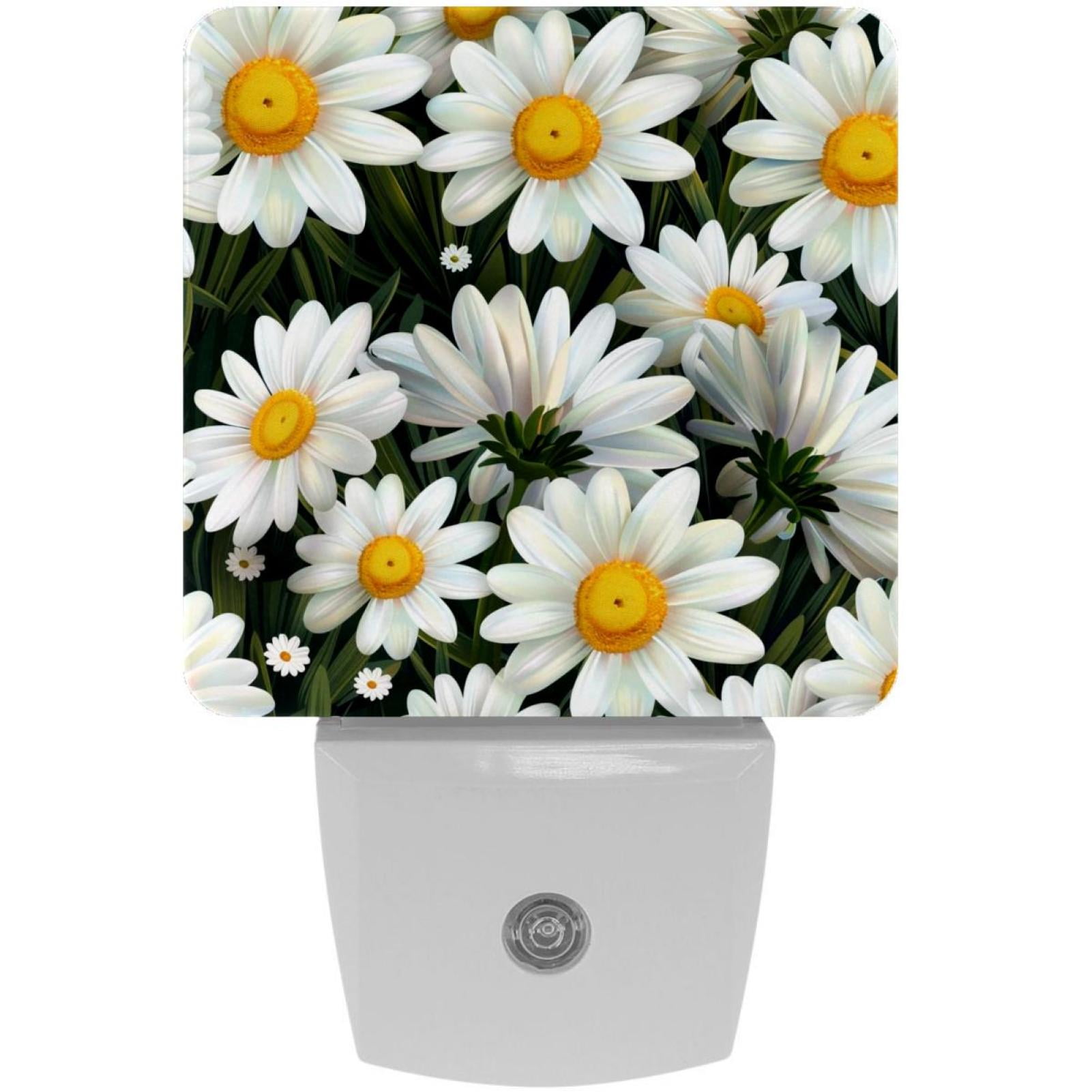 Daisy LED Square Night Lights - Energy Efficient and Contemporary ...