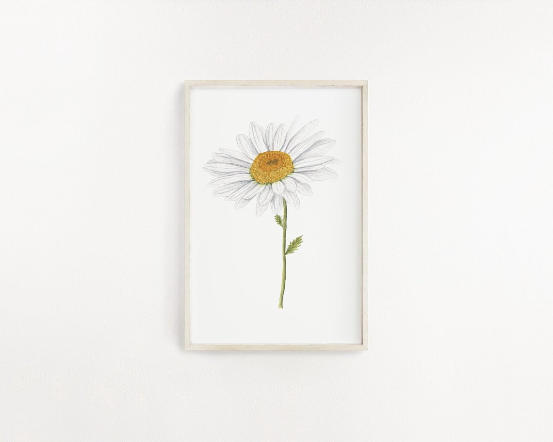 Daisy Print, April Birth Flower Art, Unframed Paper Poster 16x20in ...
