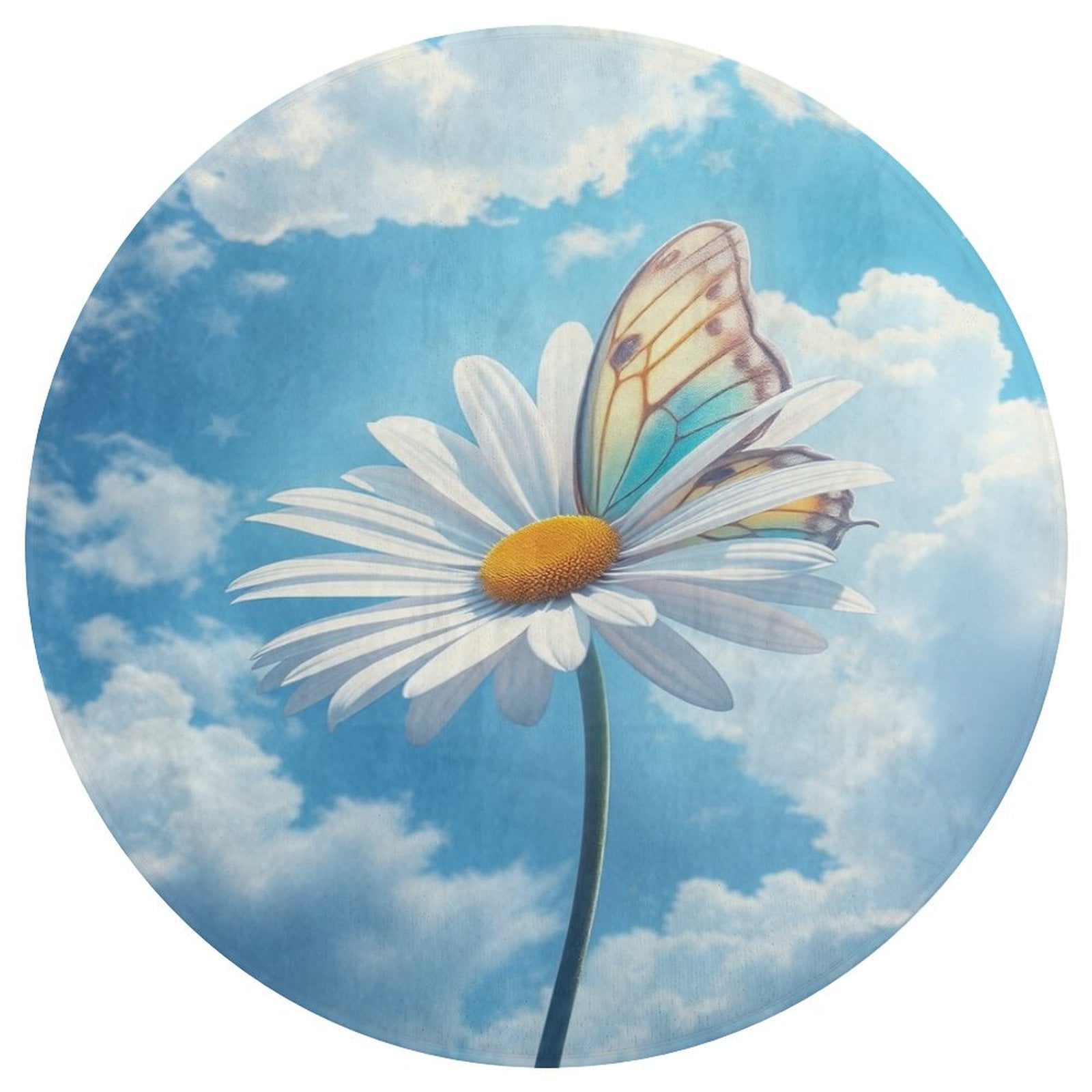 Daisy Round Area Rug Floor Carpets Washable Indoor Floor Area Mat Stain ...