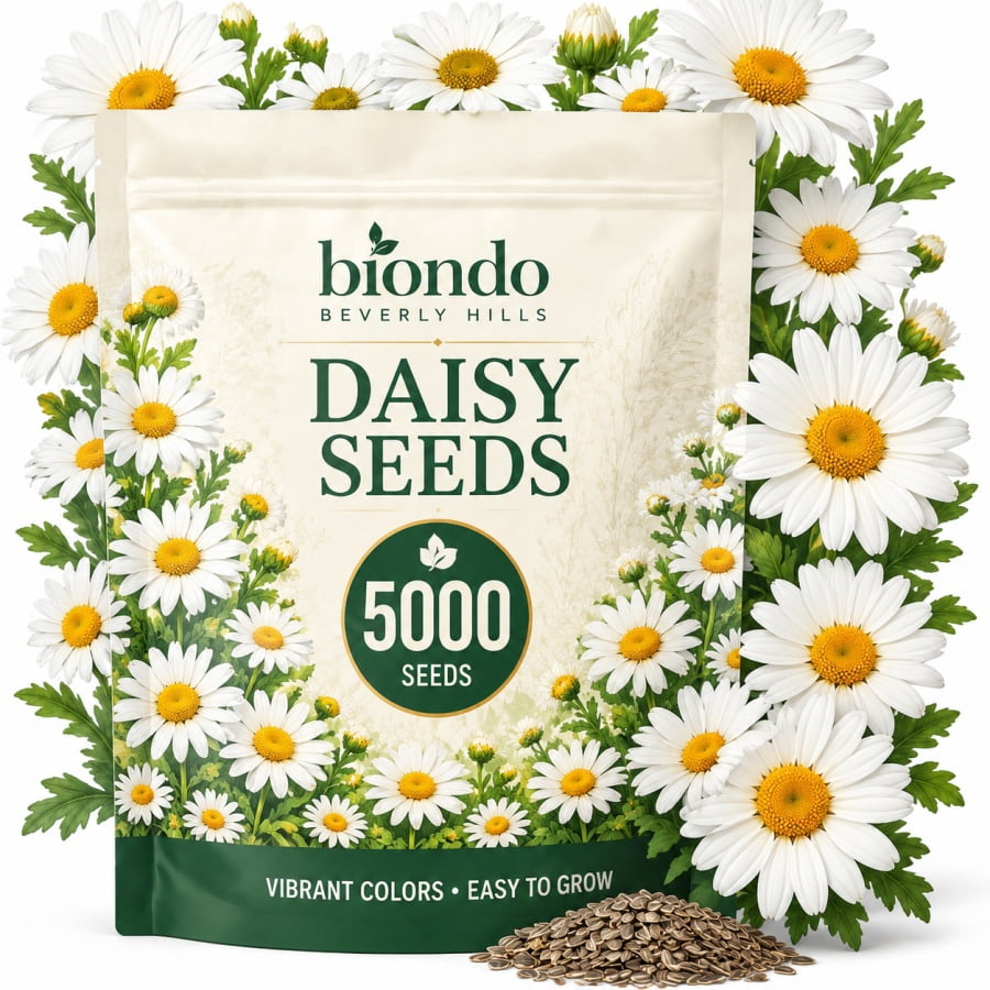 Daisy Seeds for Planting, Classic Flower Seeds for Outdoor Garden, Home ...