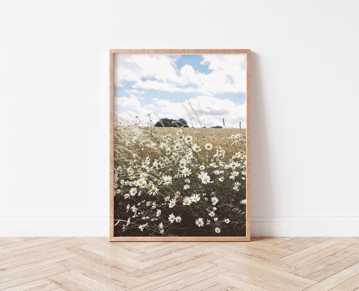 Daisy field Poster daisies photography farm flowers wildflowers wall ...