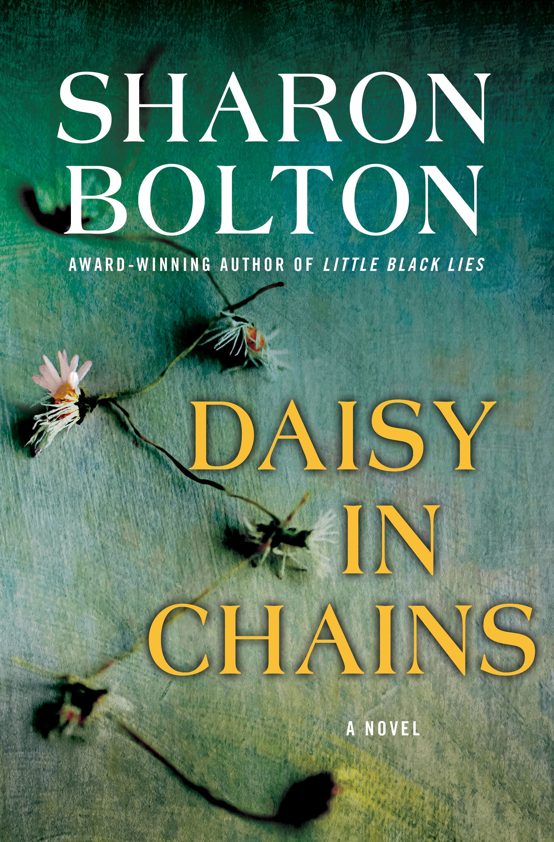 Daisy in Chains : A Novel - Walmart.com