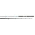 Daiwa Beefstick Surf Rod 2 Piece Xf - Walmart.com