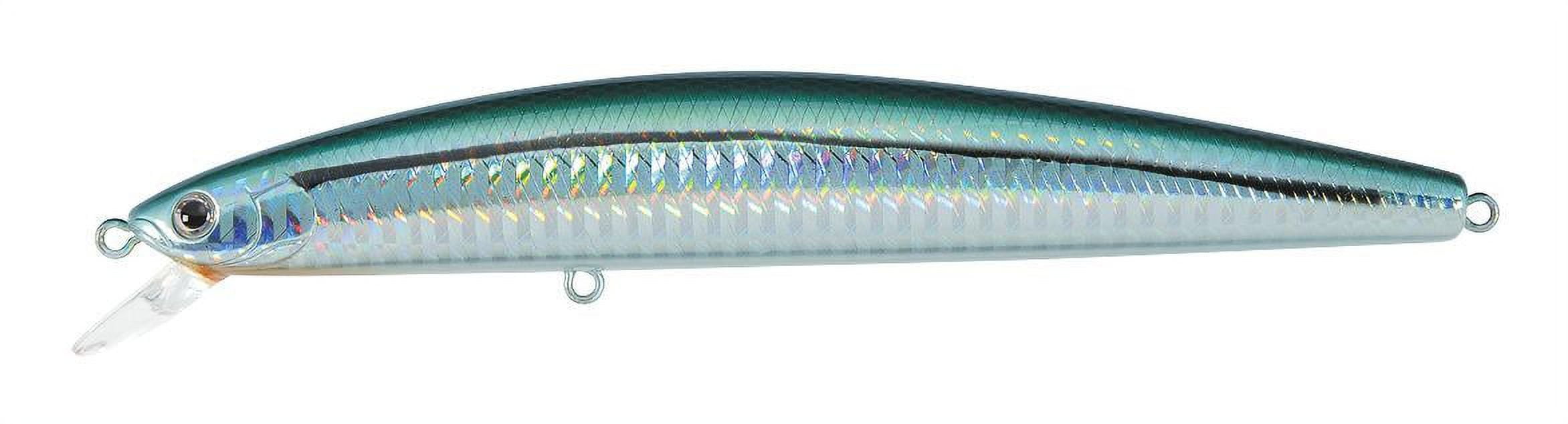 Daiwa Salt Pro SP Minnow Sinking Striper Lure, 6", Laser Green Shiner ...