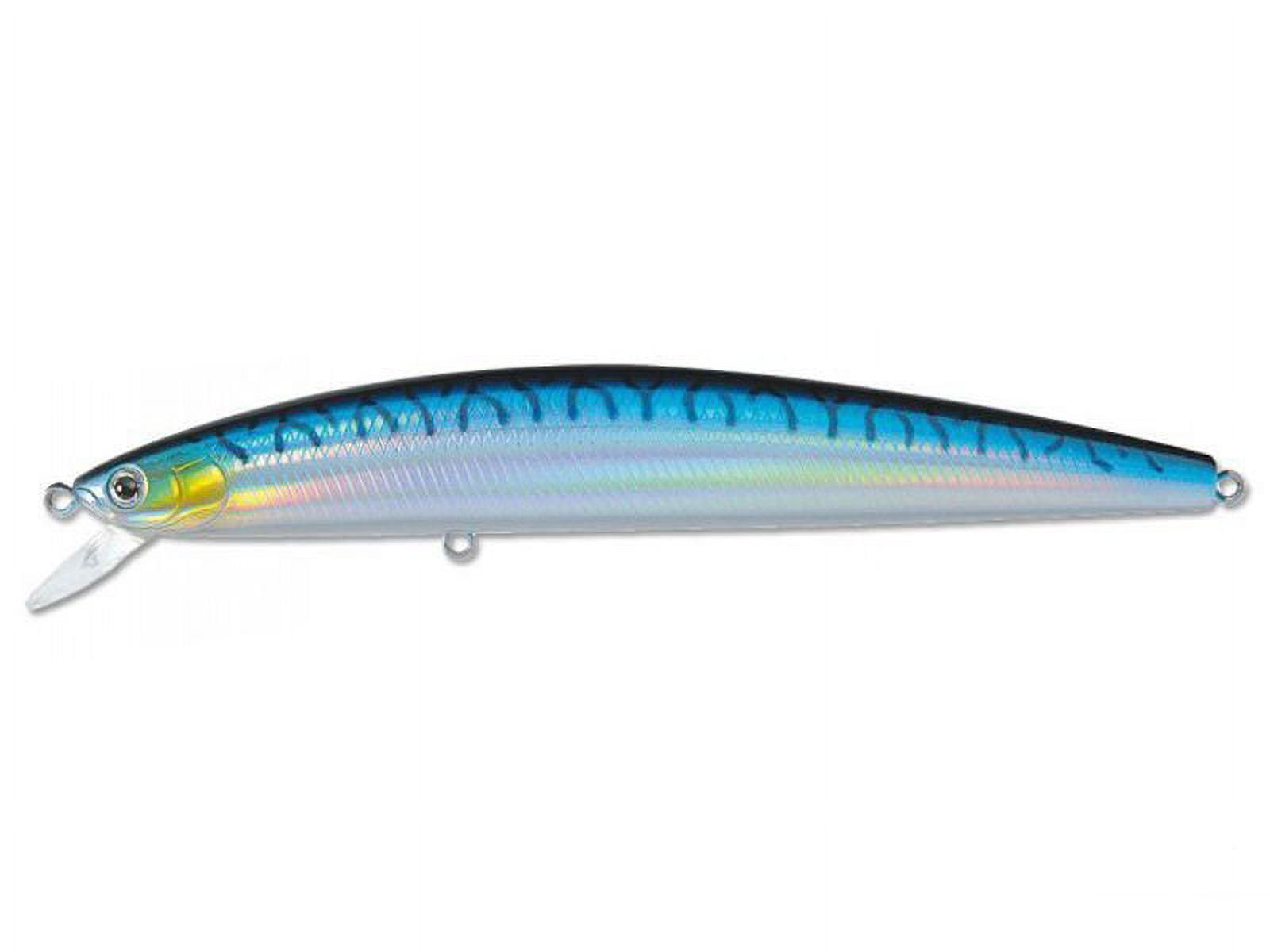 Daiwa Salt Pro SP Minnow Sinking Striper Lure, 6-3/4", Blue Mackerel ...