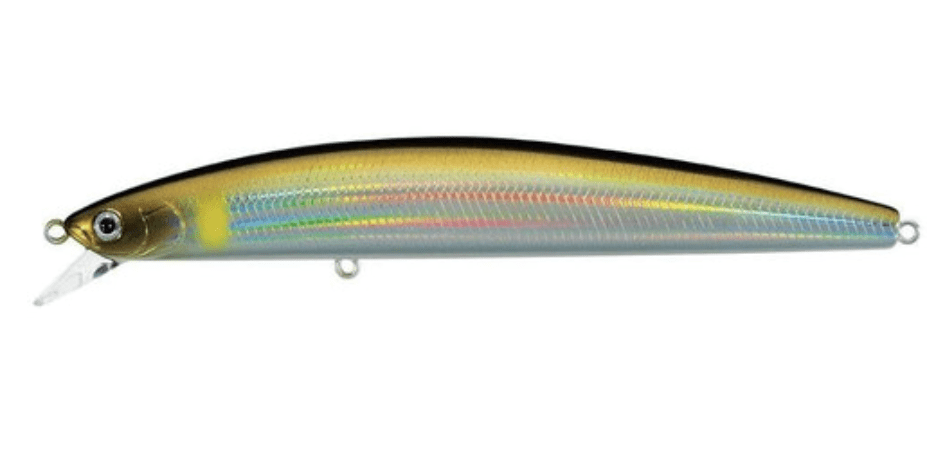 Daiwa Salt Pro 6 in Plastic Minnow Sinking Fishing Lure for Saltwater ...