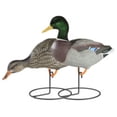Dakota Decoy X-Treme Full Body Mallard Duck Decoy 6PK - Walmart.com