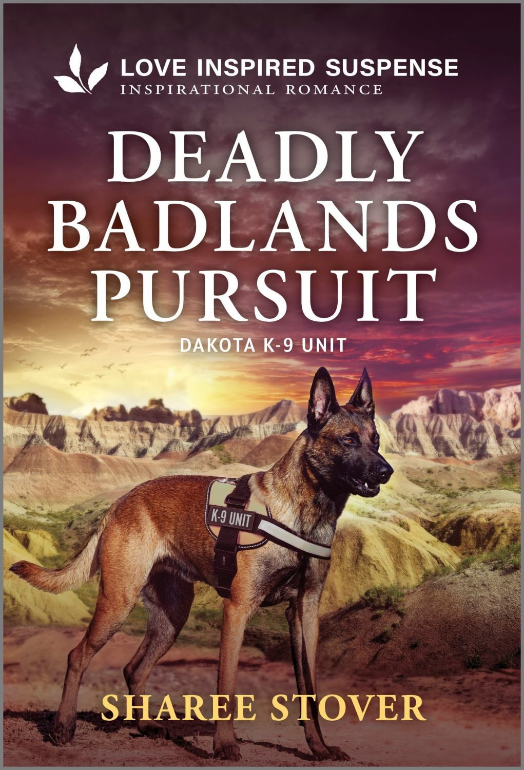Deadly Badlands Pursuit (Paperback) - Walmart Business Supplies