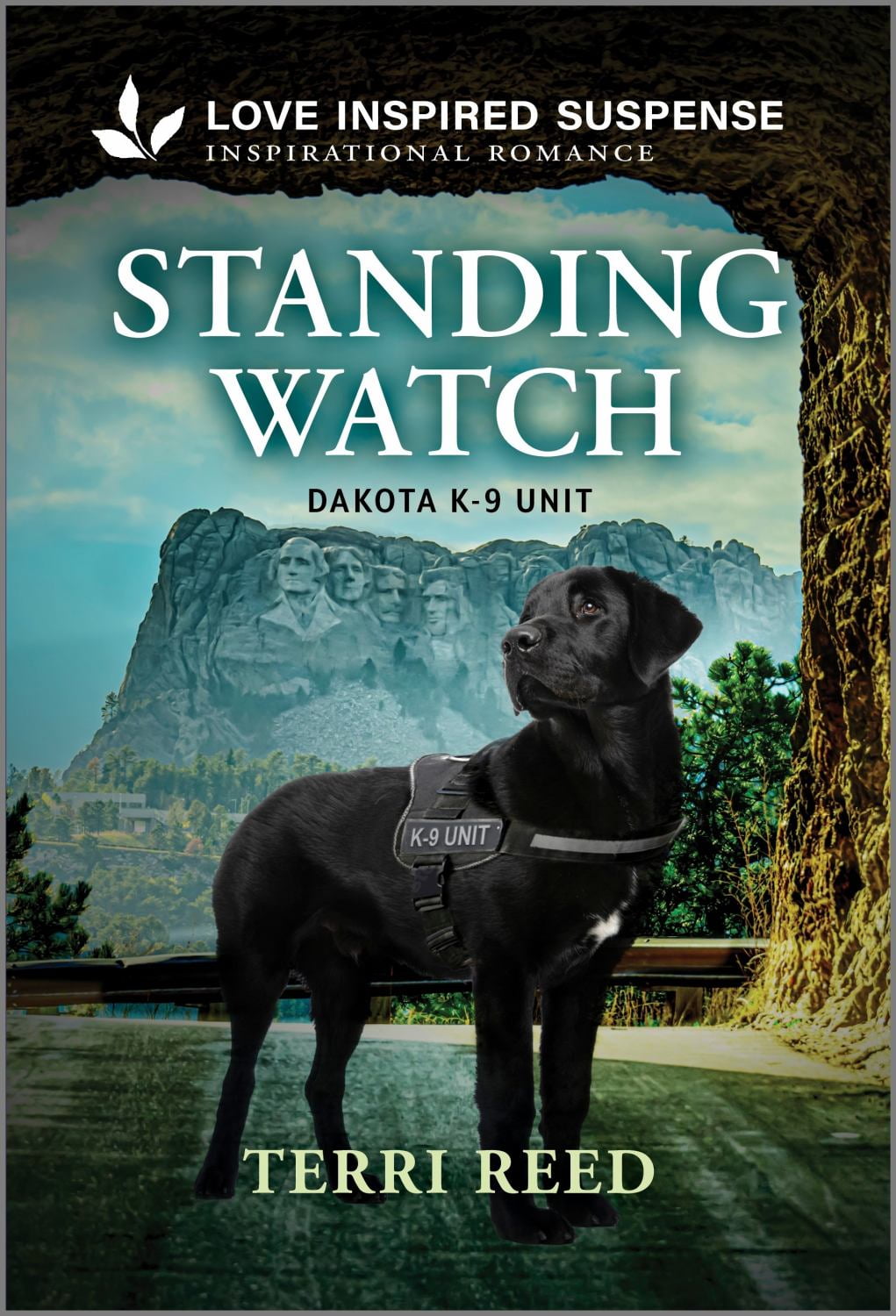Terri Reed: Standing Watch (Paperback) - Walmart.com