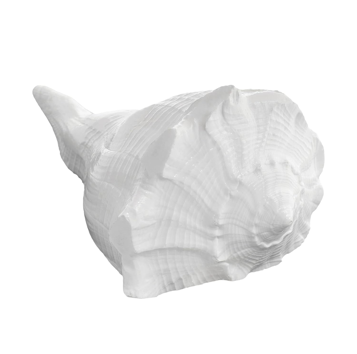 Dakshinavarti Shankh (दक्षिणावर्ती शंख) Pooja Special Subh Pavitr White ...