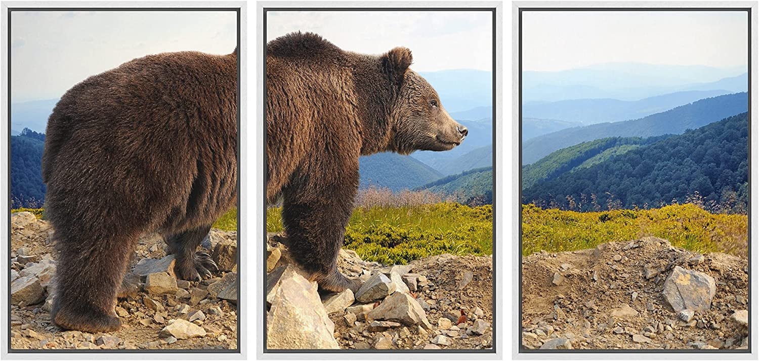 Dale 3 - Canvas Wall Art - Side Profile of a Lion in Black and White in ...