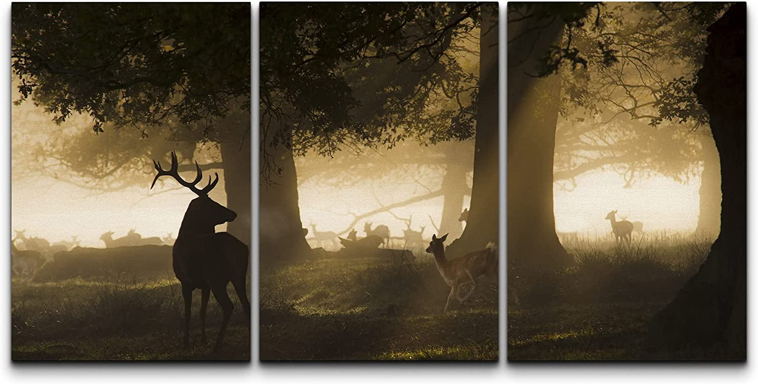 Dale 3 - Canvas Wall Art - Side Profile of a Lion in Black and White in ...