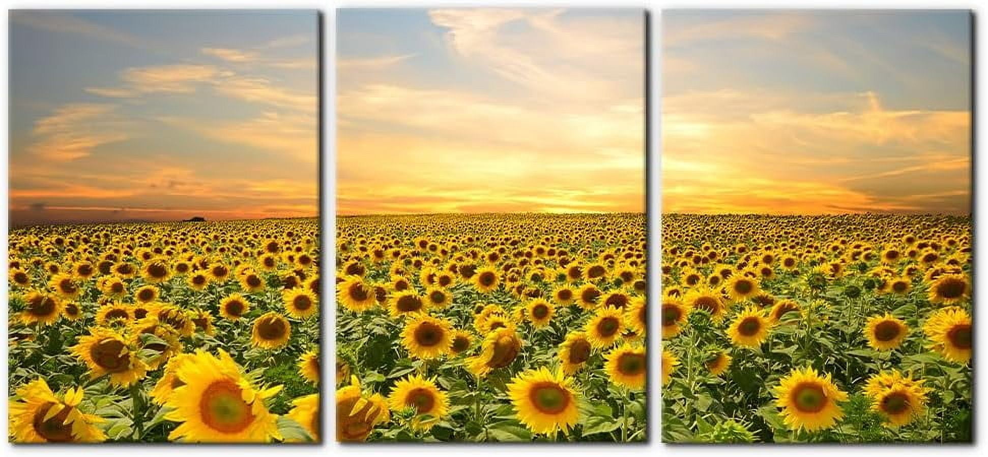 Dale 3 Sunflowers Canvas Prints Wall Art Landscape Pictures Painting ...