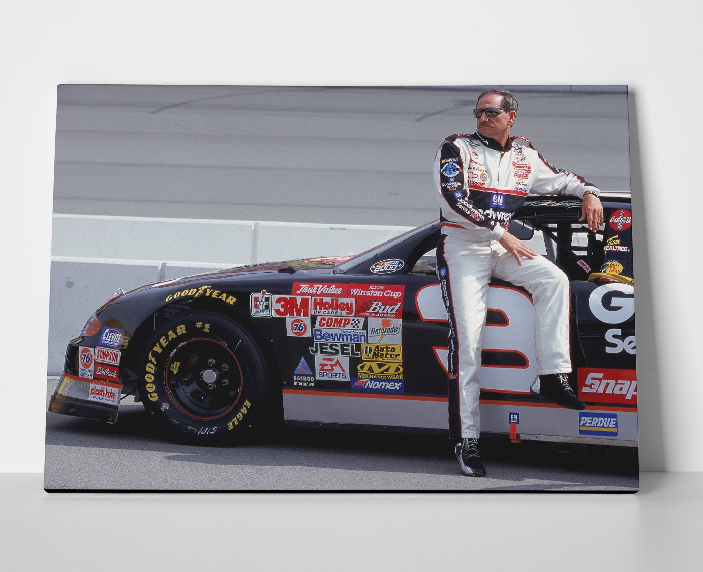 Dale Earnhardt Poster or Wrapped Canvas - Walmart.com