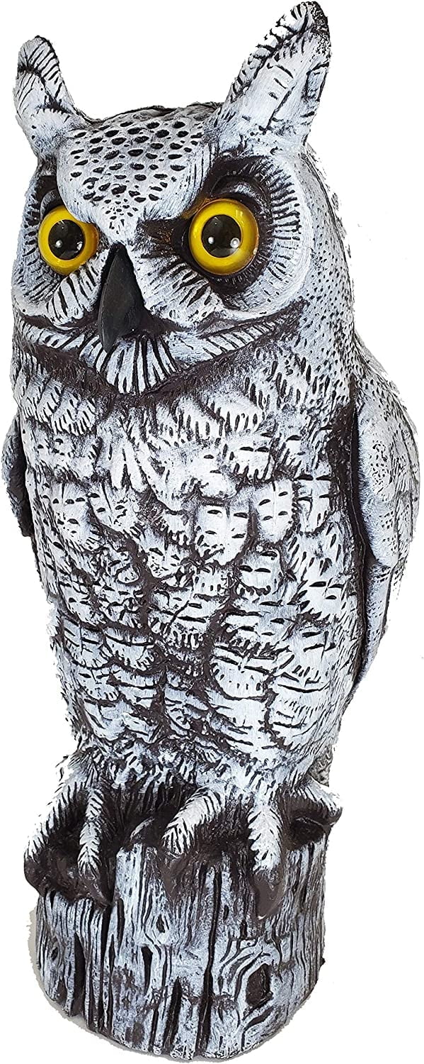 Dalen Fake Owl Decoy to Scare Birds Away from Gardens, Rooftops, and ...