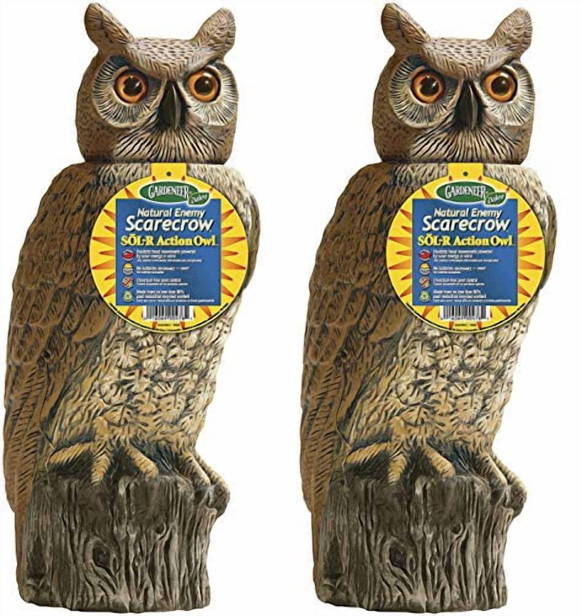 Dalen Gardeneer 100055888 Gardeneer by Dalen Solar Action Owl Natural ...