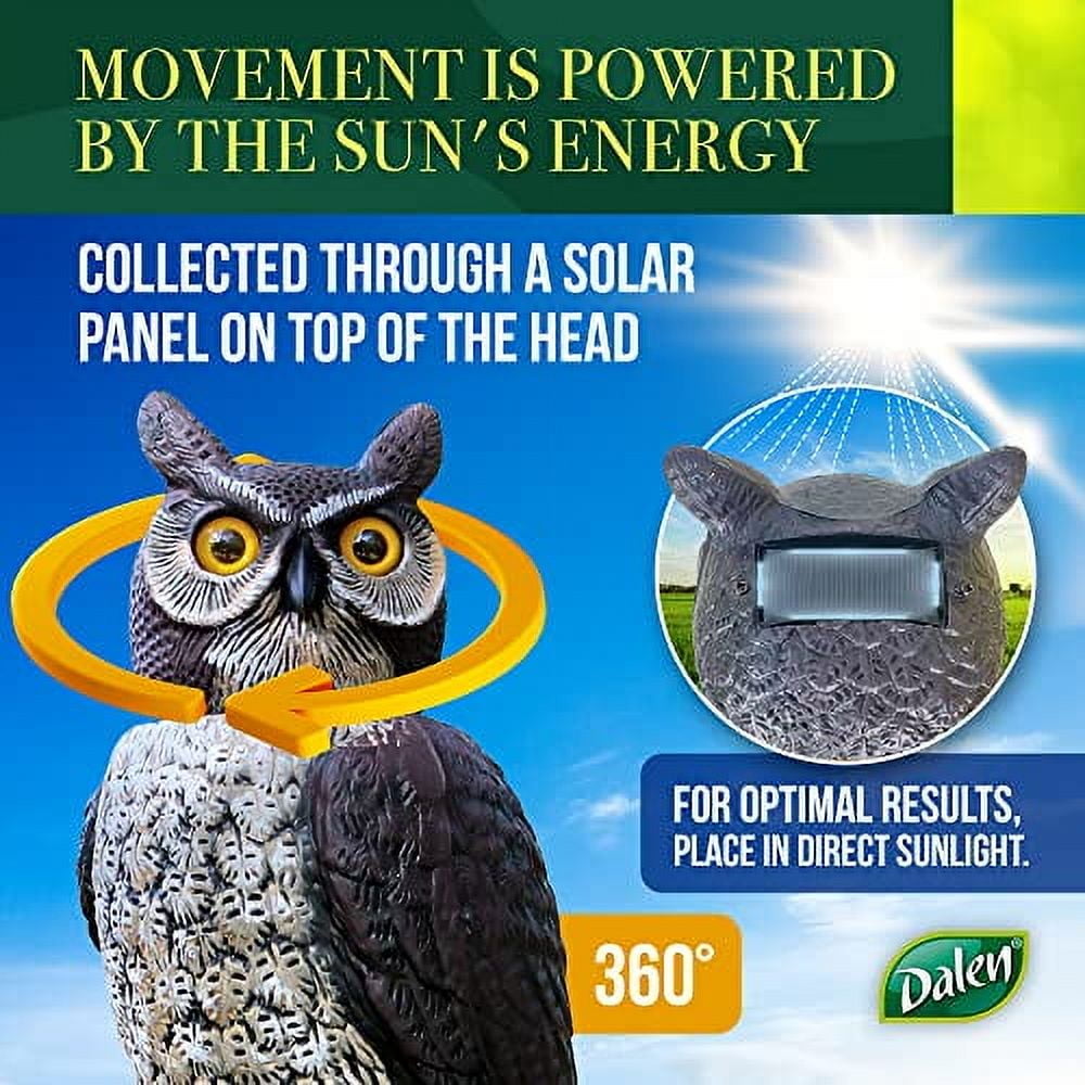 Dalen SOL-R Action Large Solar Fake Owl Decoy to Scare Birds Away - 18 ...