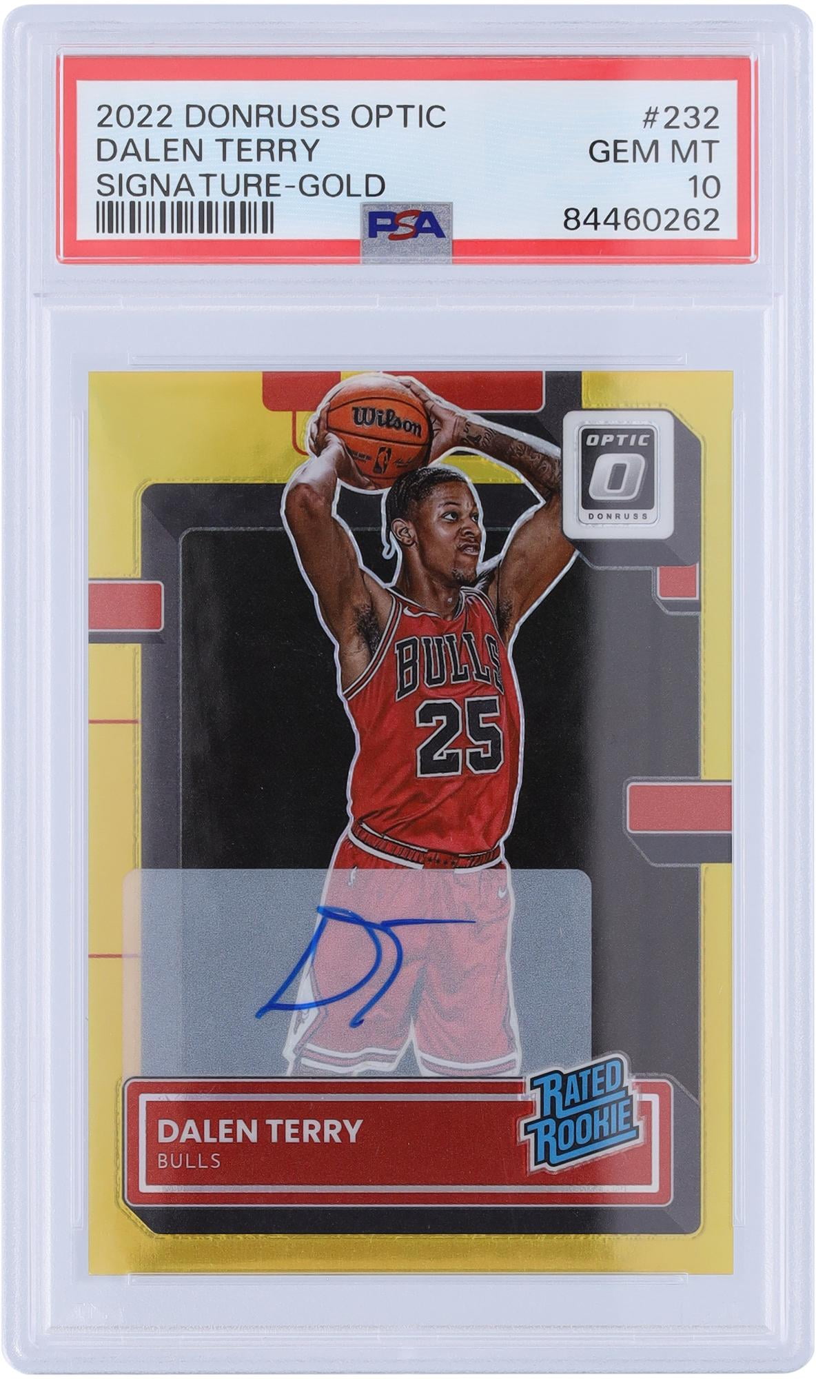 Bulls Rookies