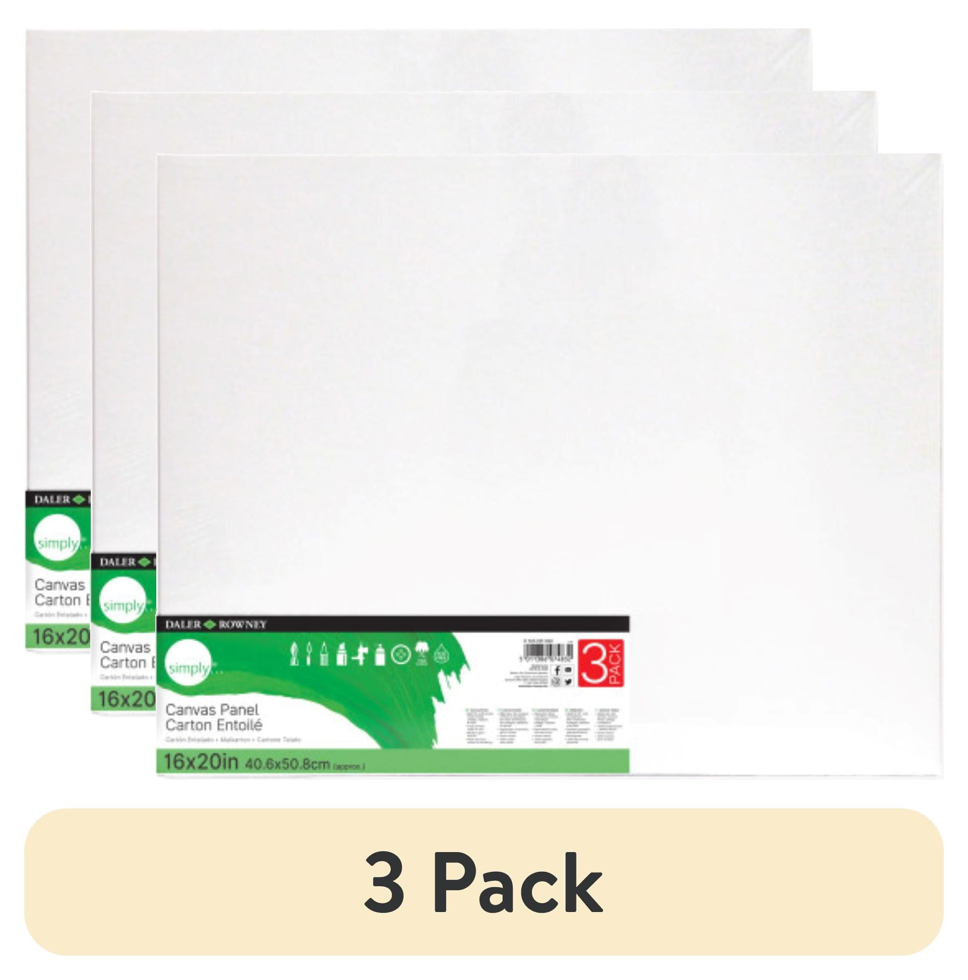 (3 pack) Daler-Rowney Simply Canvas, White Panel, 16x20 inch, 3 Piece ...