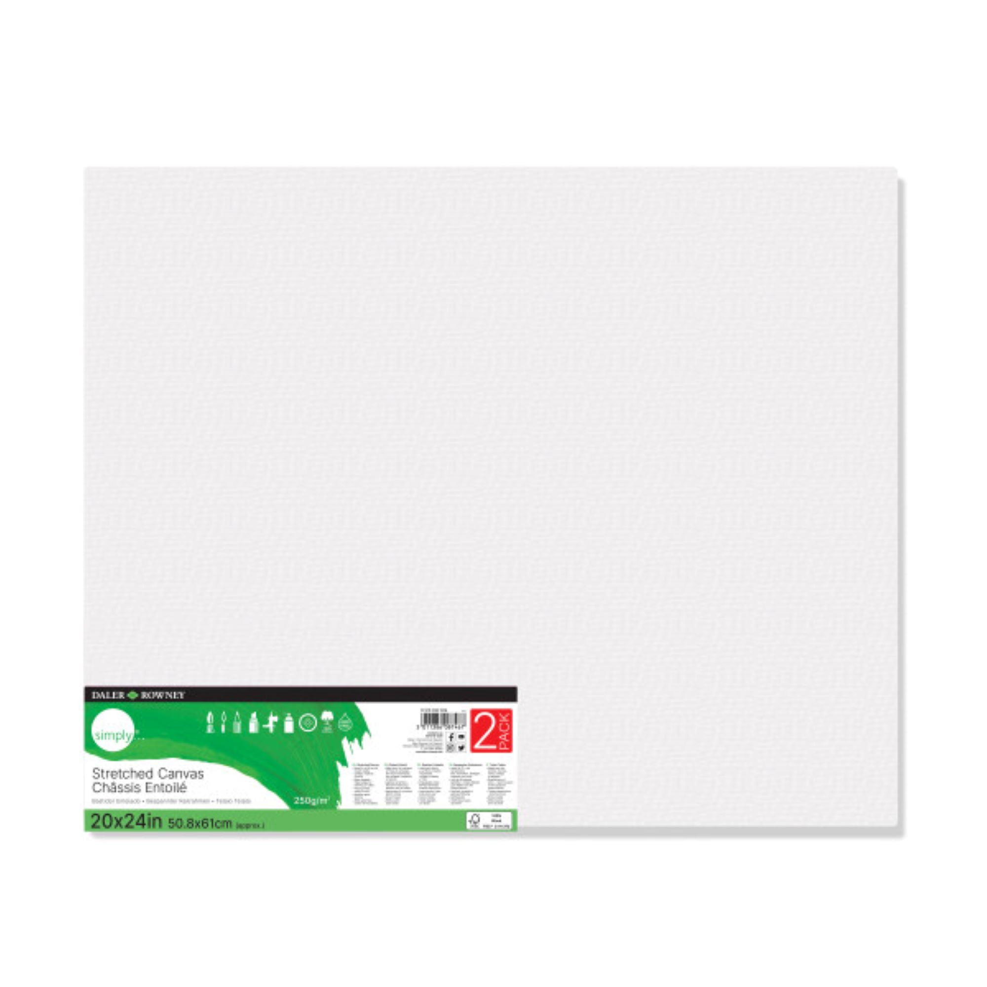 Daler-Rowney Simply Canvas, White Stretched, 20" x 24", 2 Piece - Teens ...