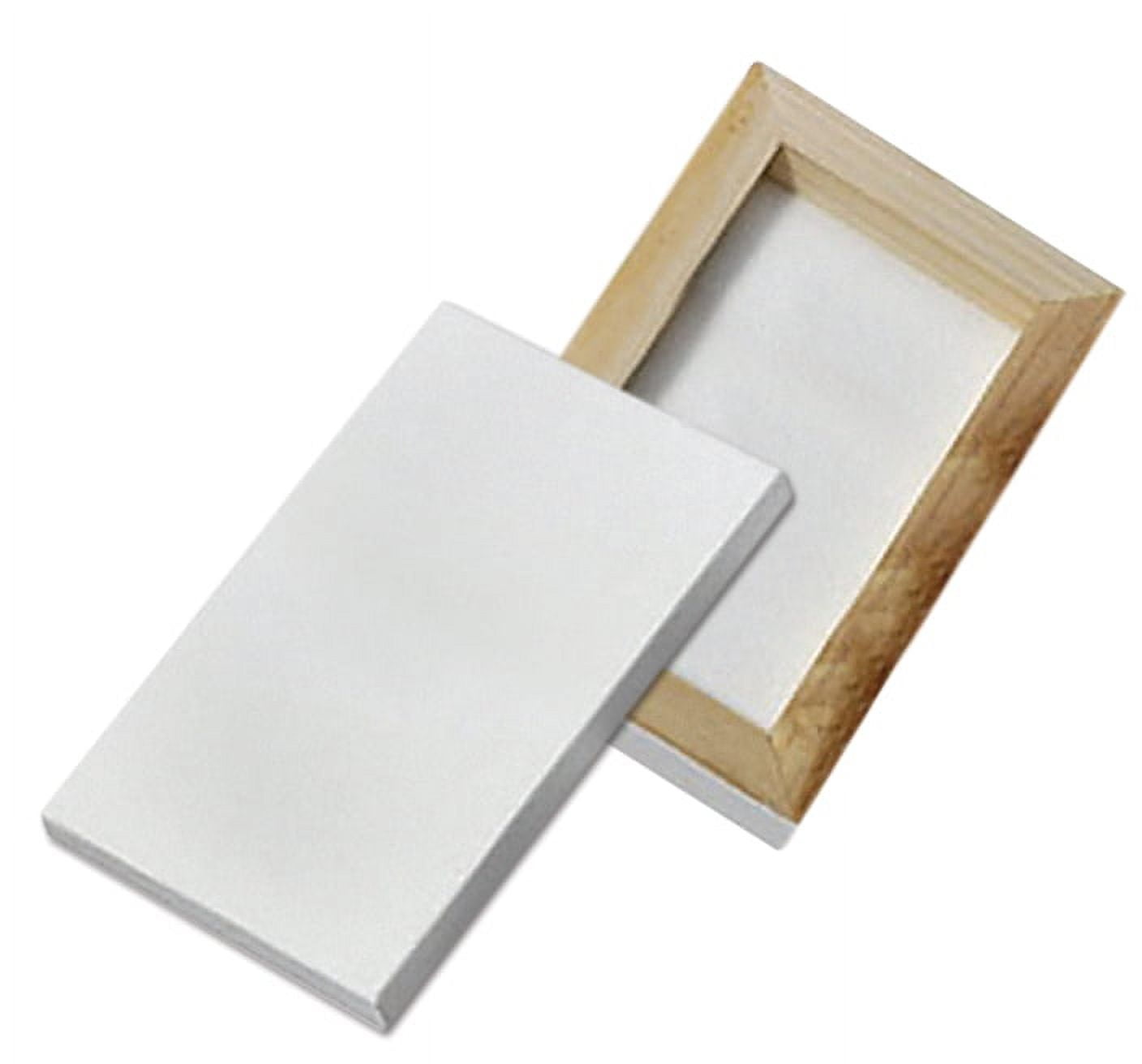 Daler-Rowney Simply Canvas, White Stretched, 2x3 inch, 1 Each - Teens ...