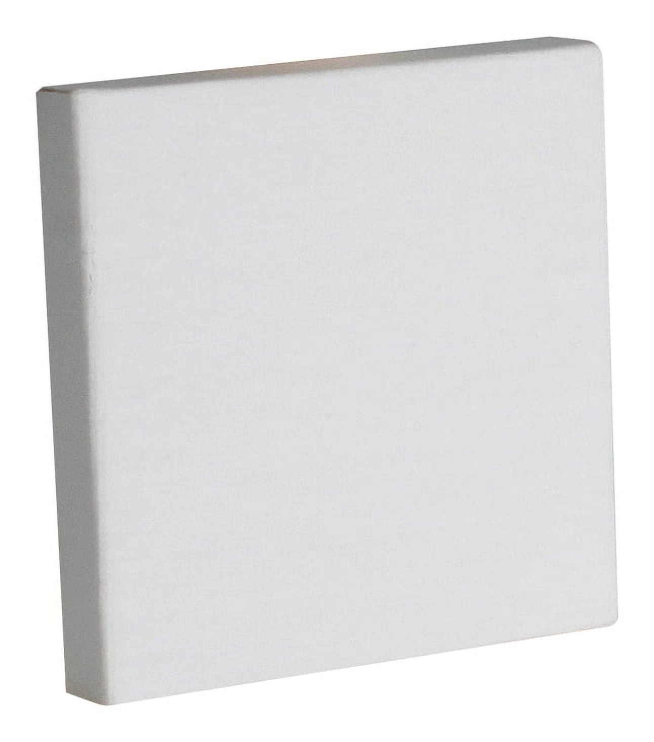 Daler-Rowney Simply Canvas, White Stretched, 4" x 4", 1 Each - Teens ...
