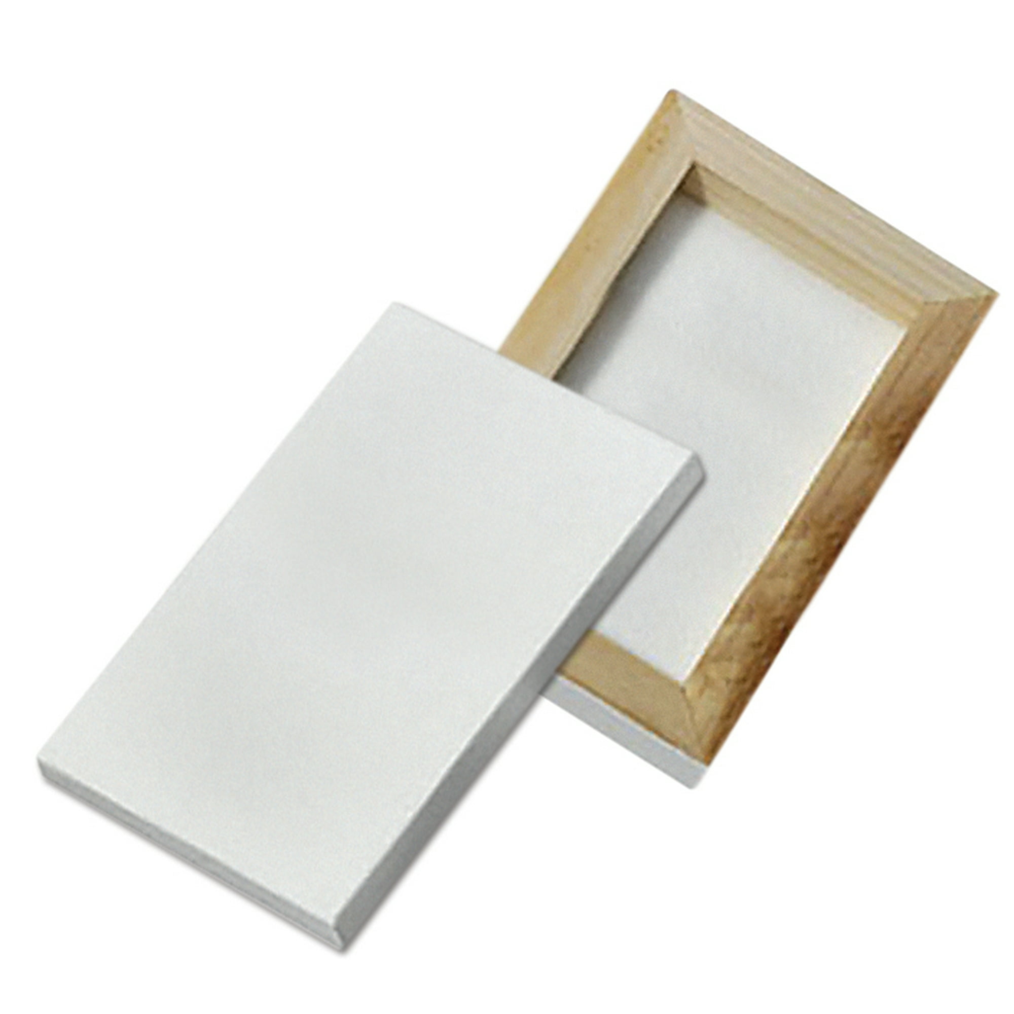 Art Rectangular Canvas Sizes