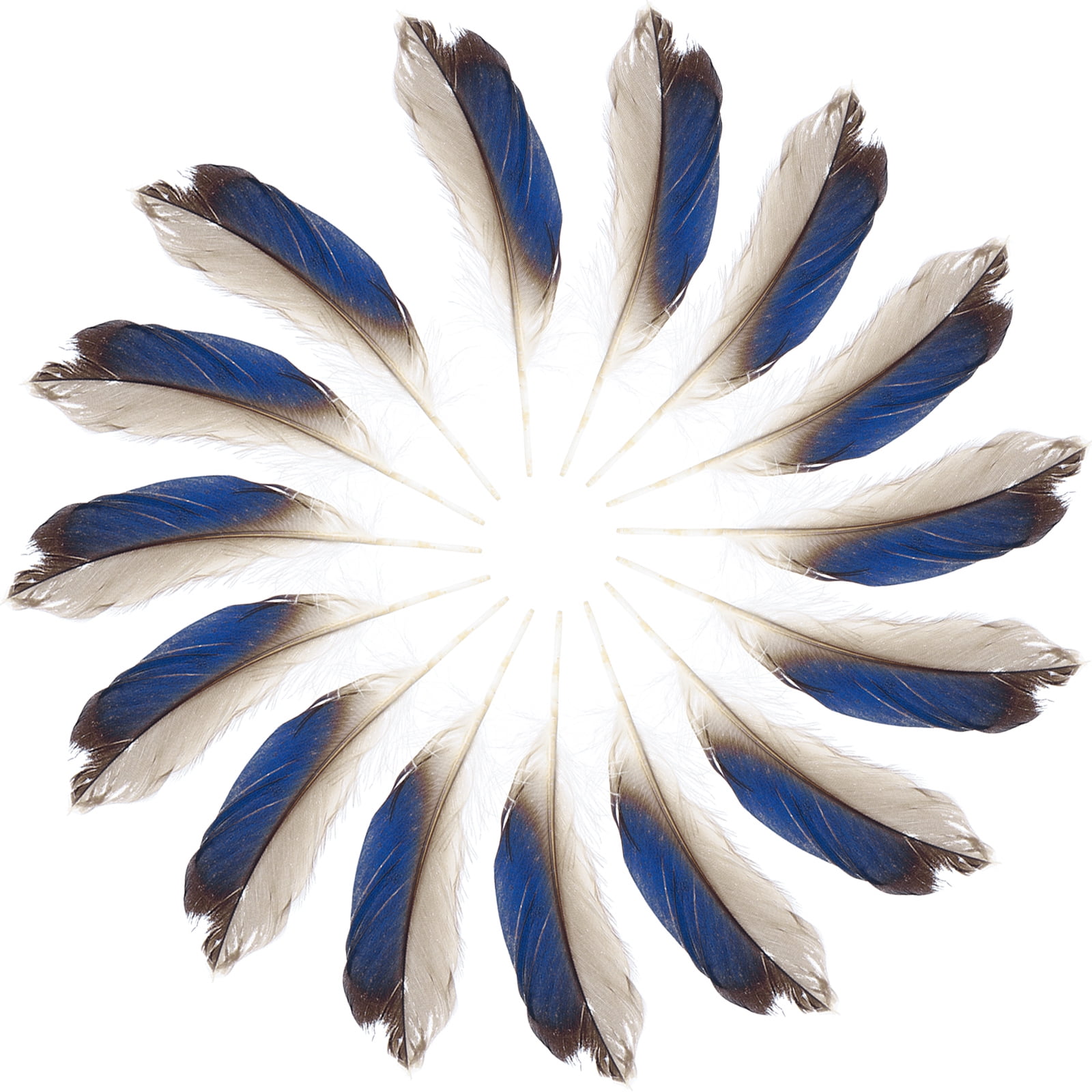 Masteelf 100 Pcs Multi Colored Duck Plumes for Diy Clothes Making ...