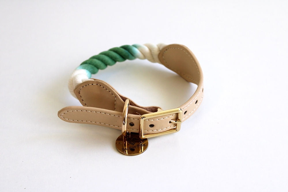 Dalisay Pure "Classic Teal" Beyond Par Cotton Rope Buckle Dog Collar ...