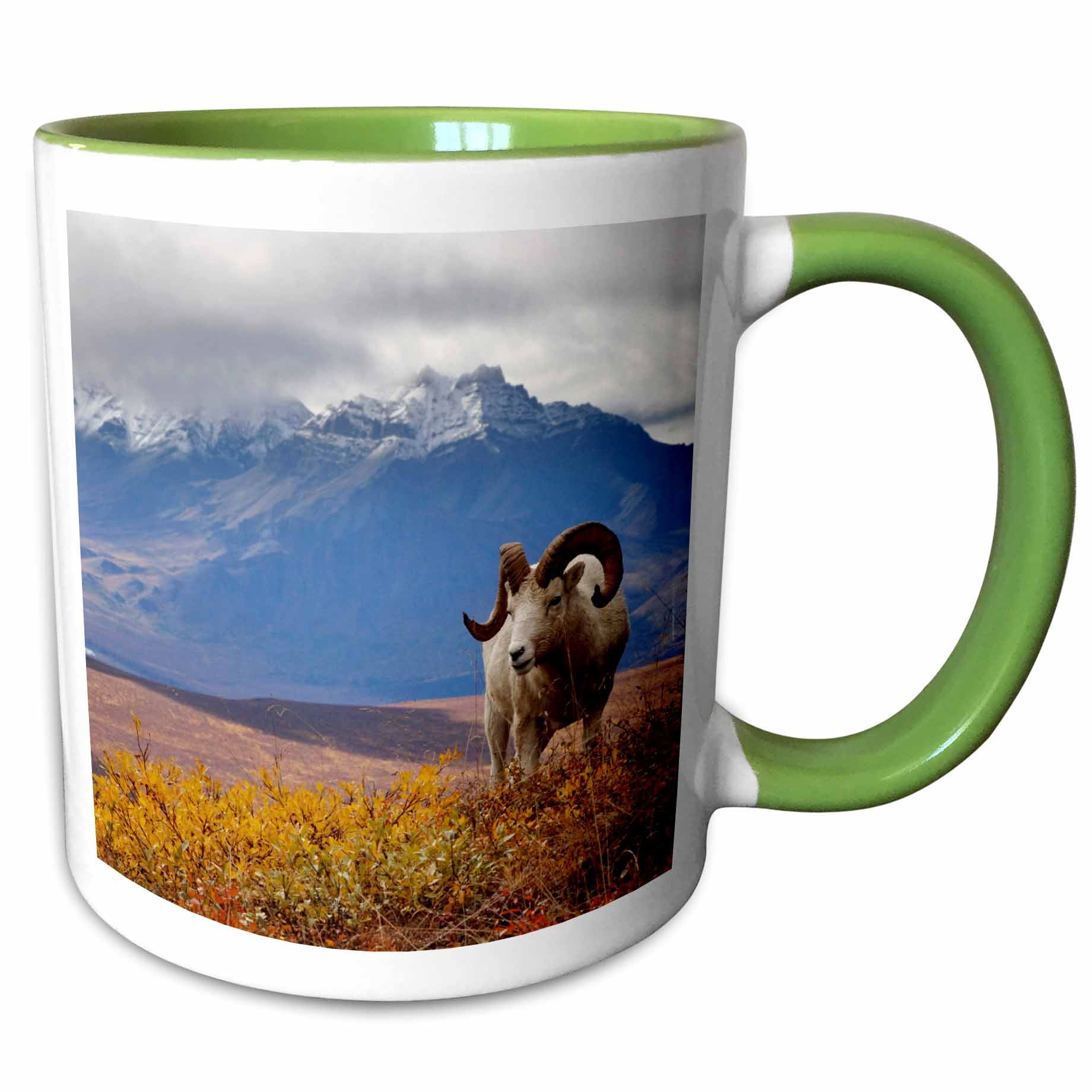 3drose, Dall Sheep Wildlife, Mt Margaret, Denali, Alaska - Us02 Ska3105 ...