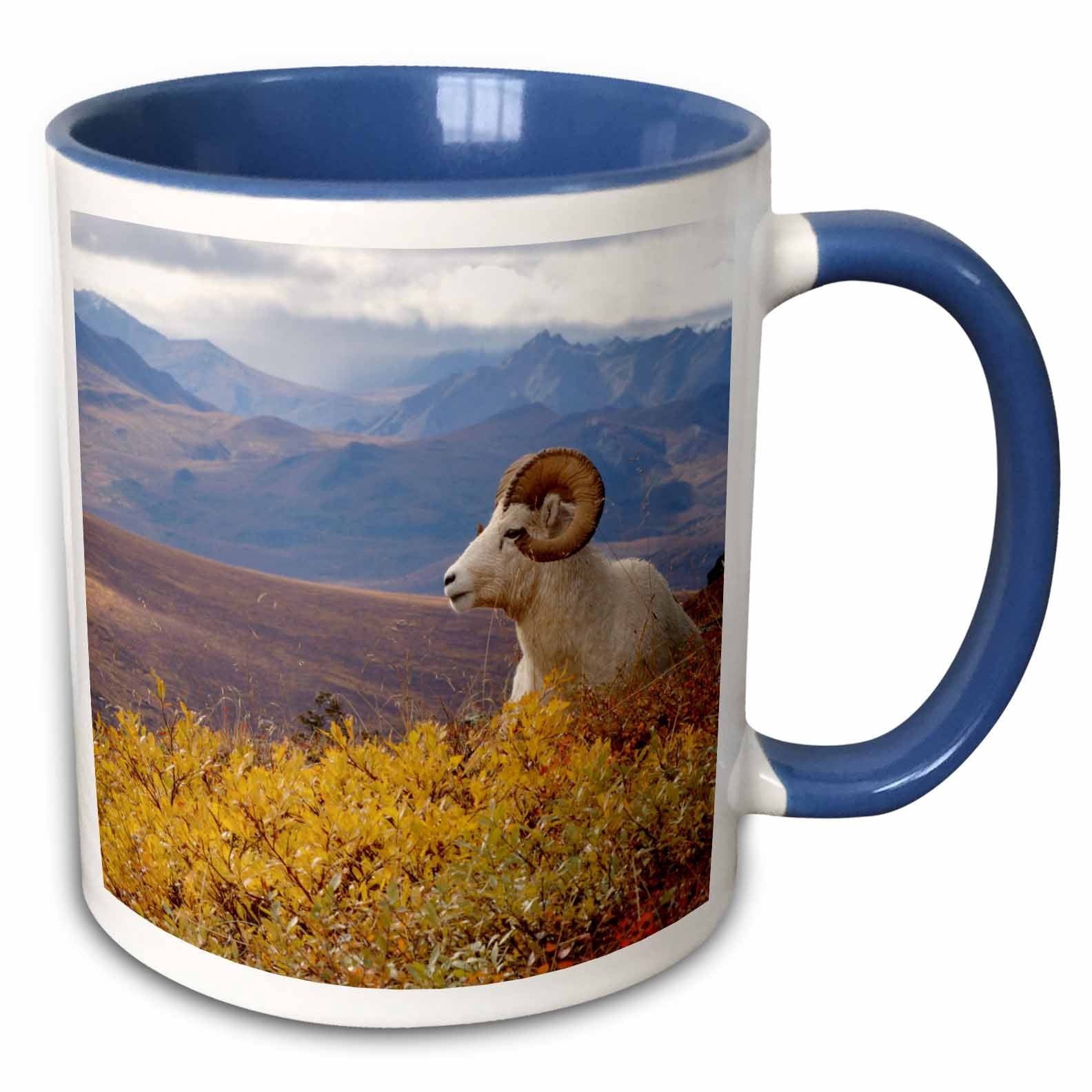 3drose, Dall Sheep Wildlife, Mt Margaret, Denali, Alaska - Us02 Ska3106 ...