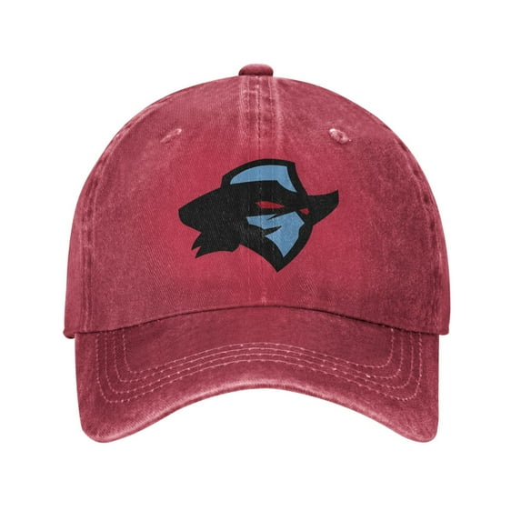 Dallas Renegades Hat Washed Cotton Baseball Cap - Walmart.com