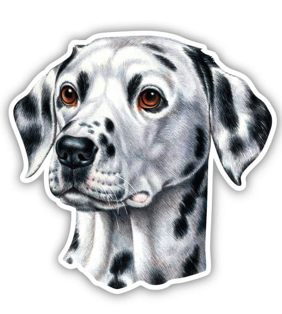 Dalmatian - 5" Vinyl Sticker - For Car Laptop I-Pad - Waterproof Decal ...