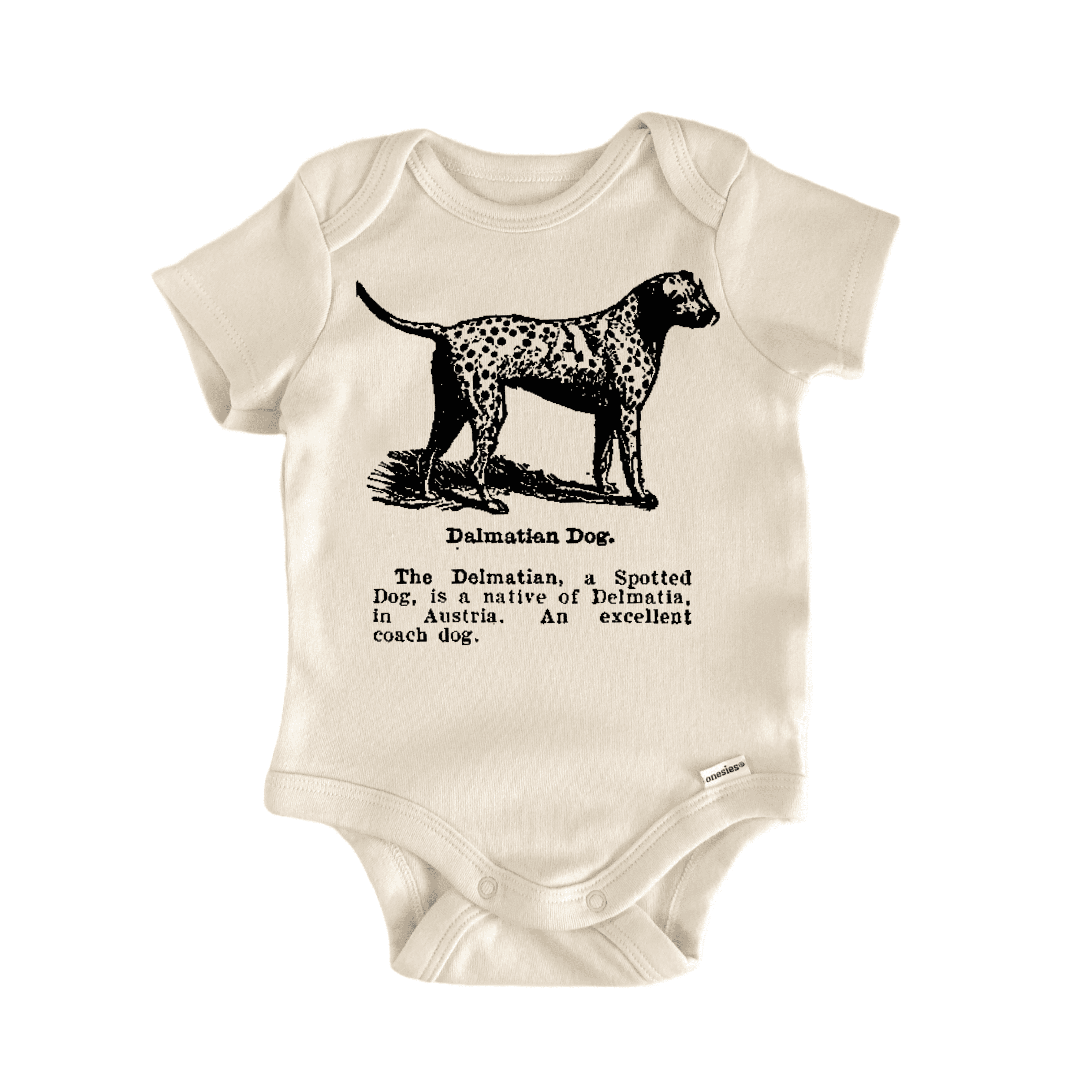 Dalmation Dog Pet Breed Newborn Baby Bodysuit - Walmart.com