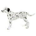 Dalmation - Walmart.com