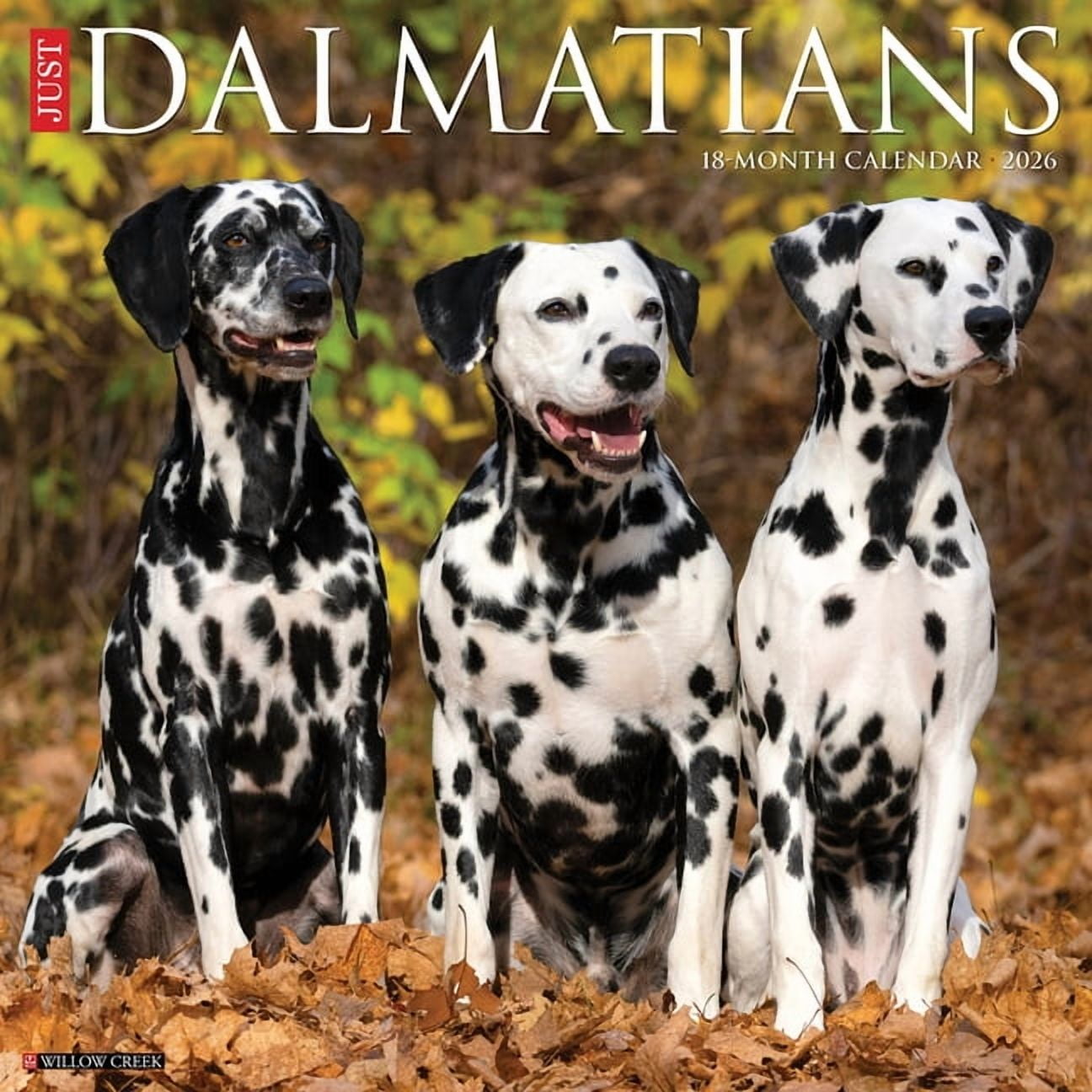 Dalmations 2026 Wall Calendar, (Paperback) - Walmart.com