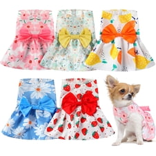 Dog Bikini
