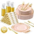 Daluvenix 350 Pcs Pink Plastic Dinnerware Set for 50 Guests, Disposable ...
