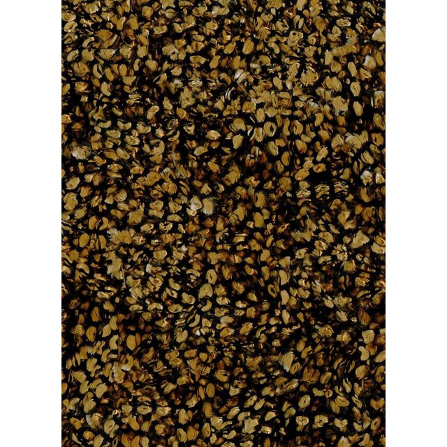 Dalyn Belize Shag Area Rug BZ100 Bz100 Gold Gold Solid Shag 2' x 3 ...