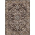 Dalyn Rugs Machine Washable Indoor/Outdoor Chantille ACN2165 Brown 9' x ...